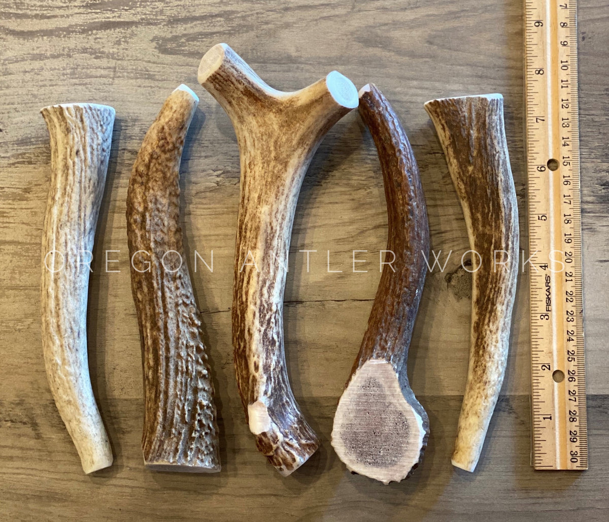 Large Whole Antler Chew (1 chew) – Oregon Antler Works