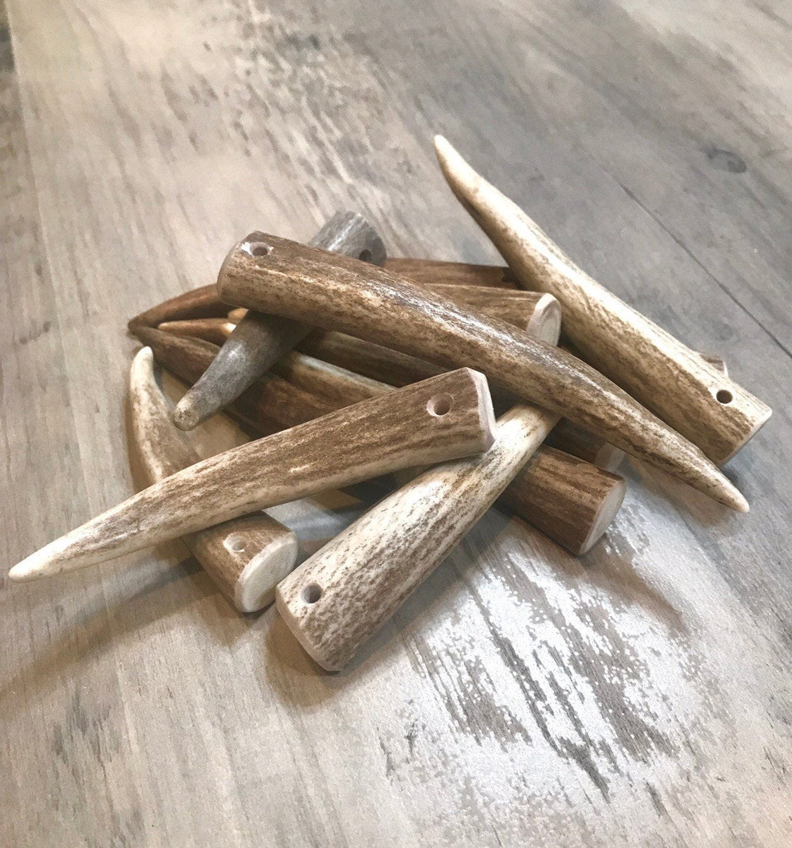 (3-Pack) Pre-Drilled Polished Antler Tips – Oregon Antler Works