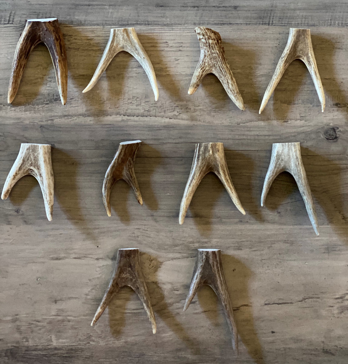 Forked Deer Antler Tips ( 2 pack) – Oregon Antler Works