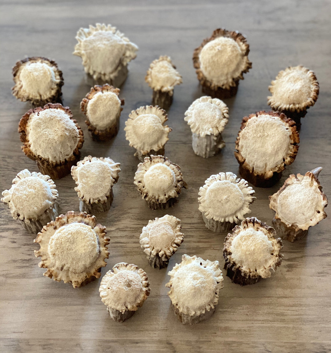 Knobs & Drawer Pulls – Oregon Antler Works